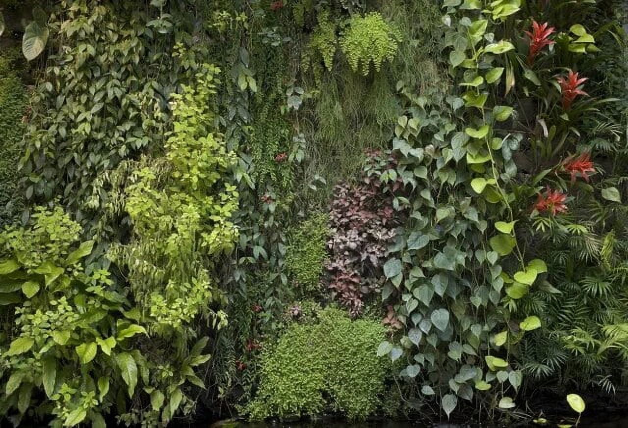 Laeacco Tropical Forest Green Plants Leaves Foliage Photography ...