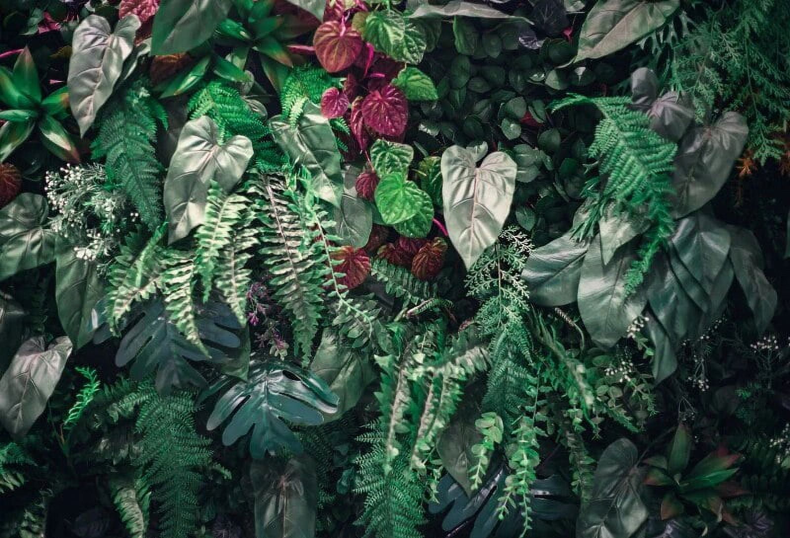 Laeacco Tropical Forest Green Plants Leaves Foliage Photography ...