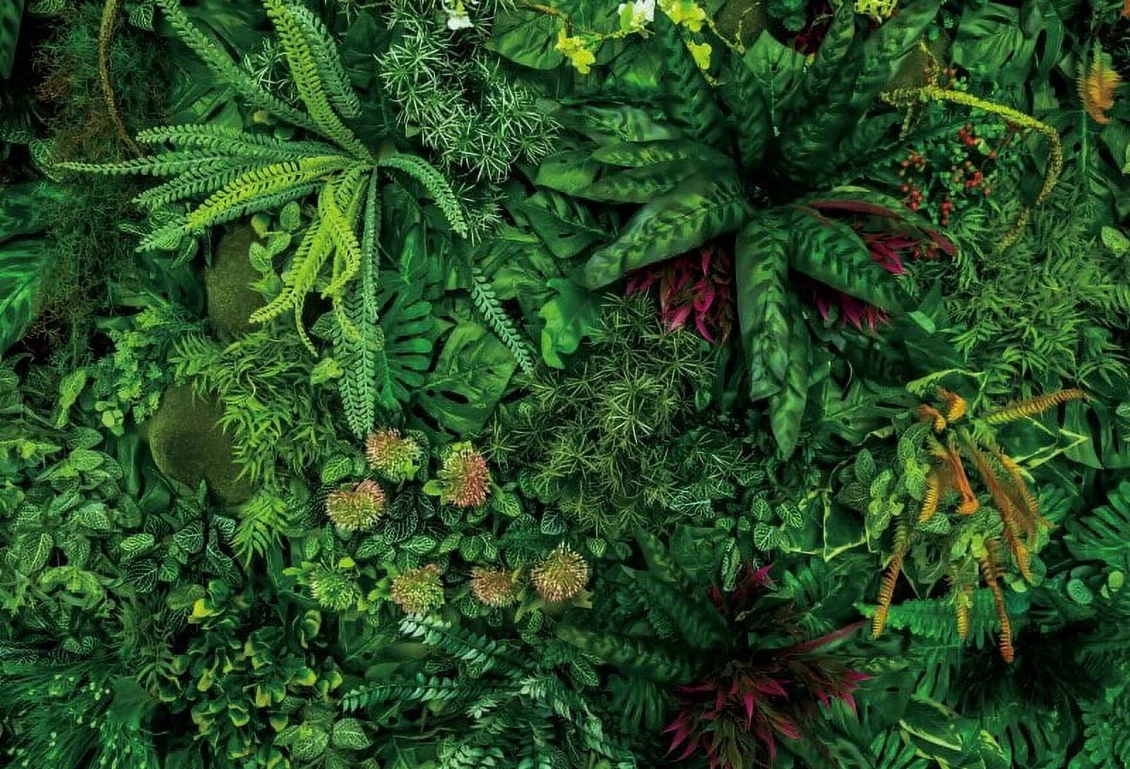 Laeacco Tropical Forest Green Plants Leaves Foliage Photography ...