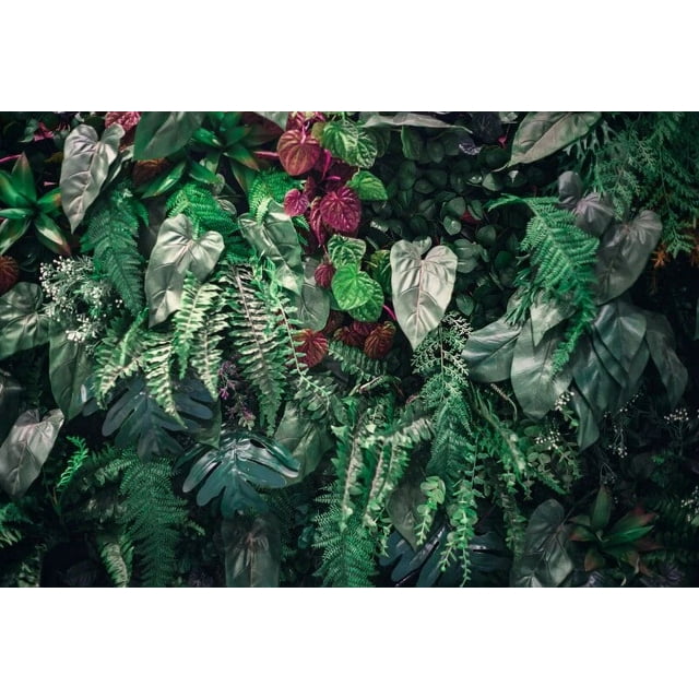 Laeacco Tropical Forest Green Plants Leaves Foliage Photography ...