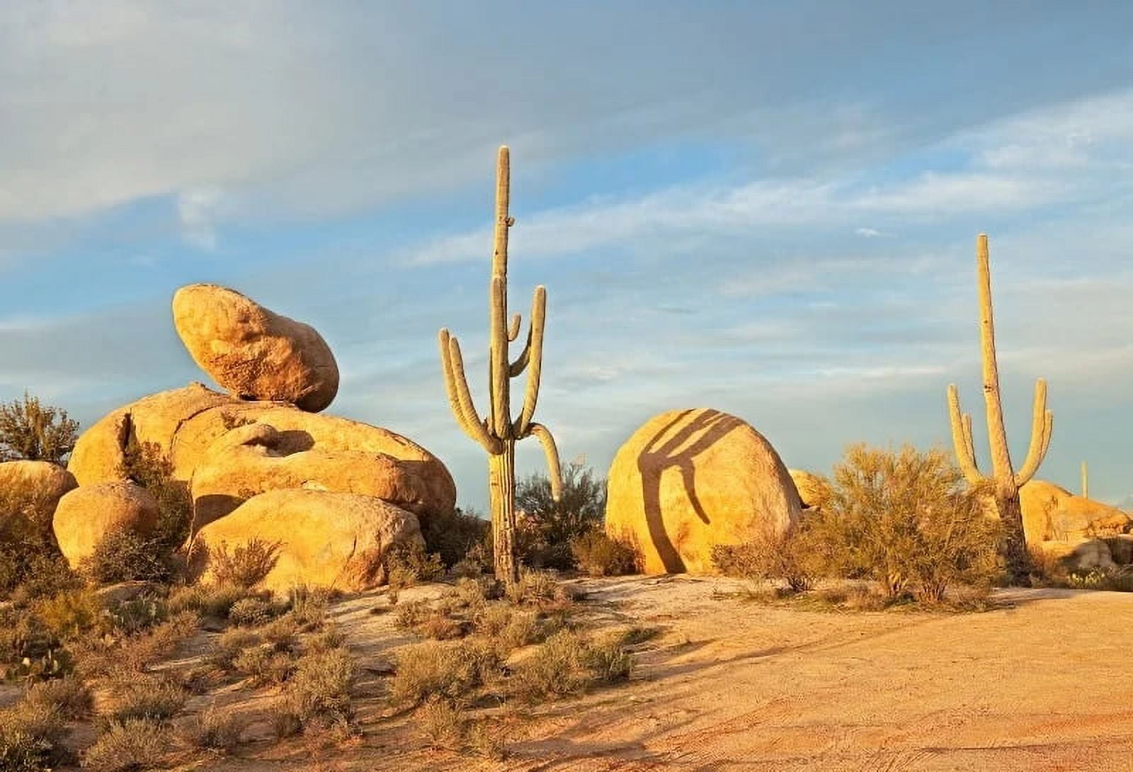 Laeacco Western Desert Dead Wood Natural Landscape Room Decor Portrait ...