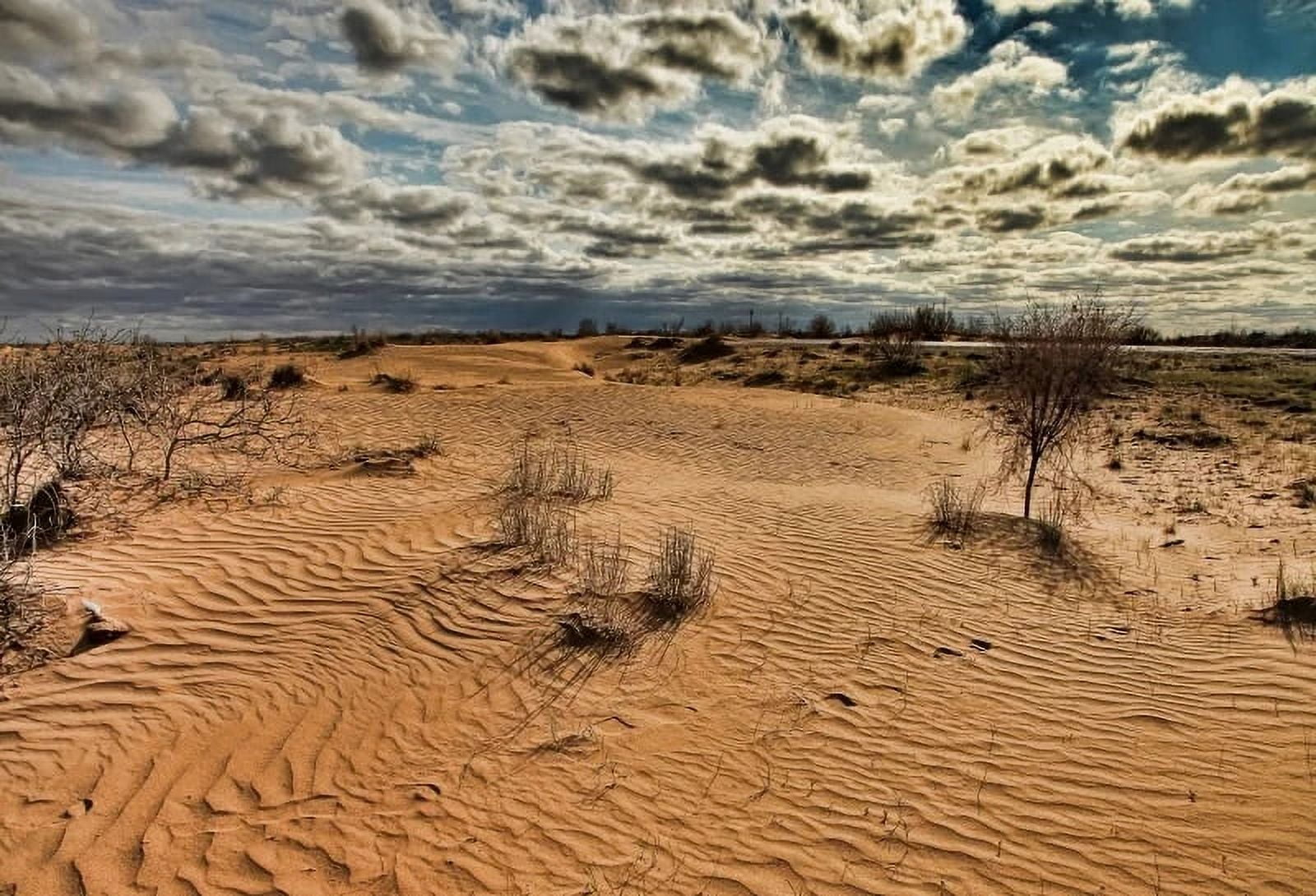 Laeacco Western Desert Dead Wood Natural Landscape Room Decor Portrait ...