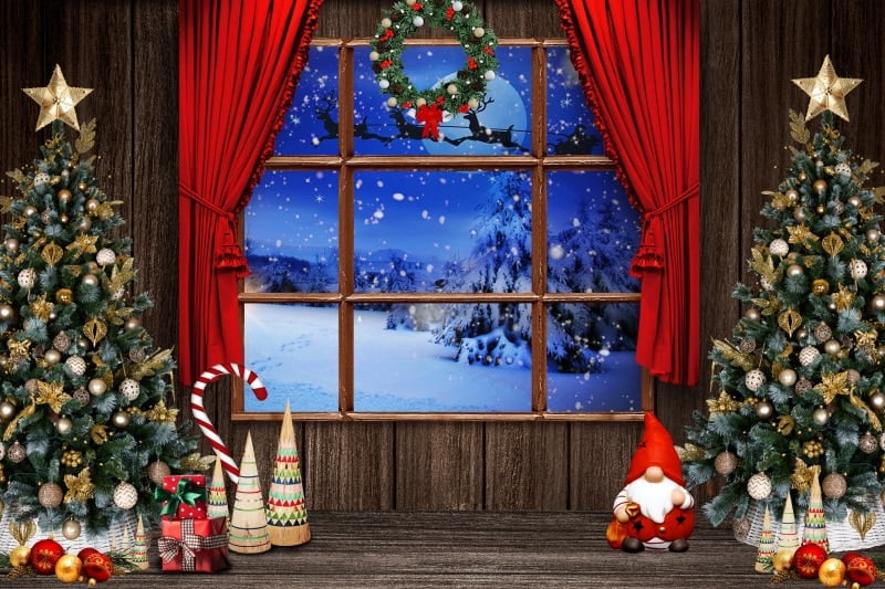 Laeacco Winter Christmas Window Scene Backdrop Snow Forest Pink ...