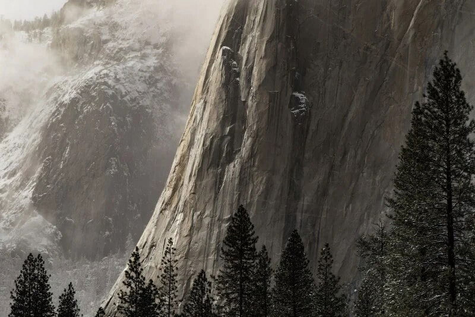 Laeacco Winter Cliff Mountain Forest Nature Wind Scene Background Room ...