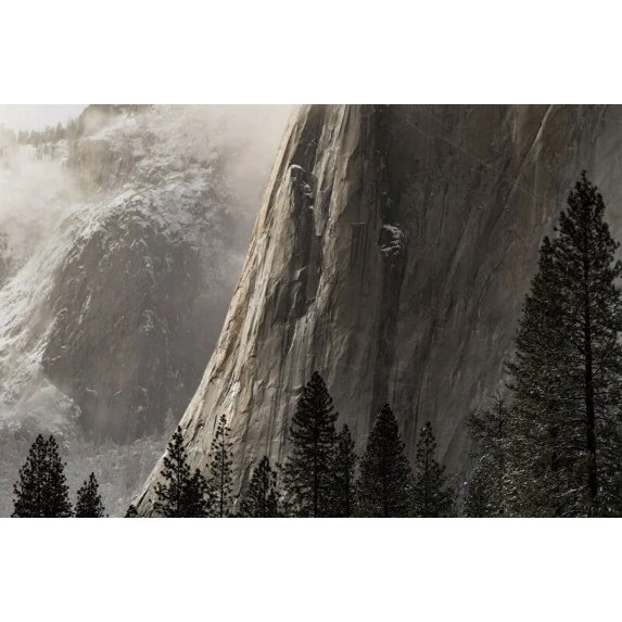 Laeacco Winter Cliff Mountain Forest Nature Wind Scene Background Room ...