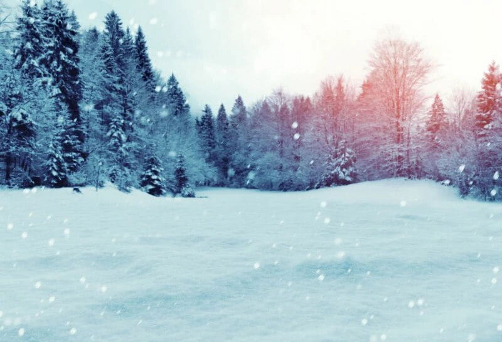 Laeacco Winter Snow Mountain Forest Christmas Tree Nordic Scenery ...