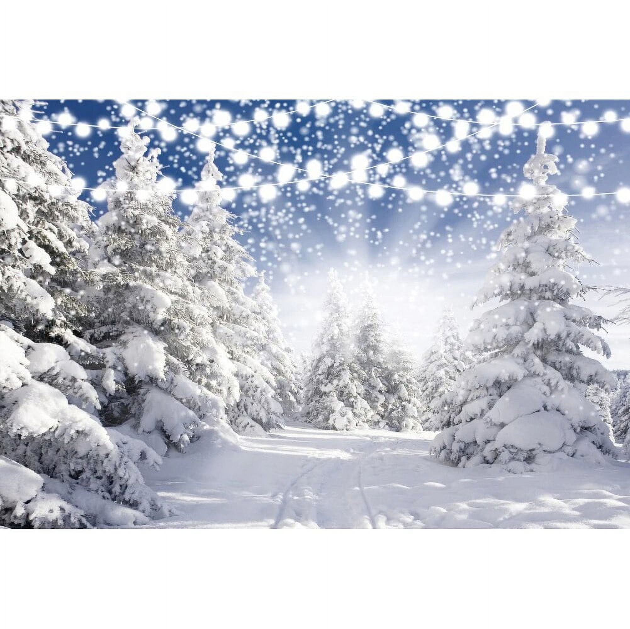 Laeacco Winter Snow Mountain Ski Slate Sunny Day Holiday Party Scenic ...