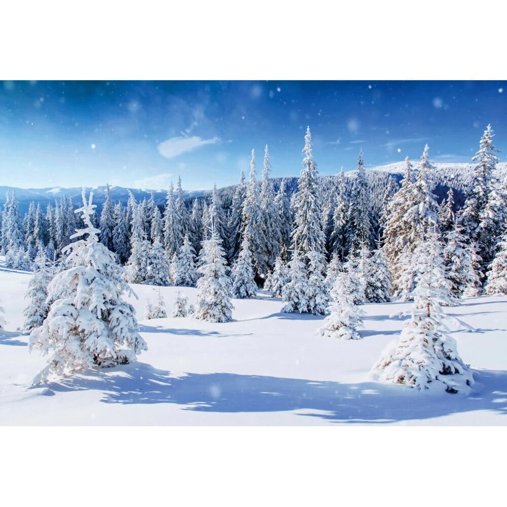 Laeacco Winter Snow Mountain Ski Slate Sunny Day Holiday Party Scenic ...