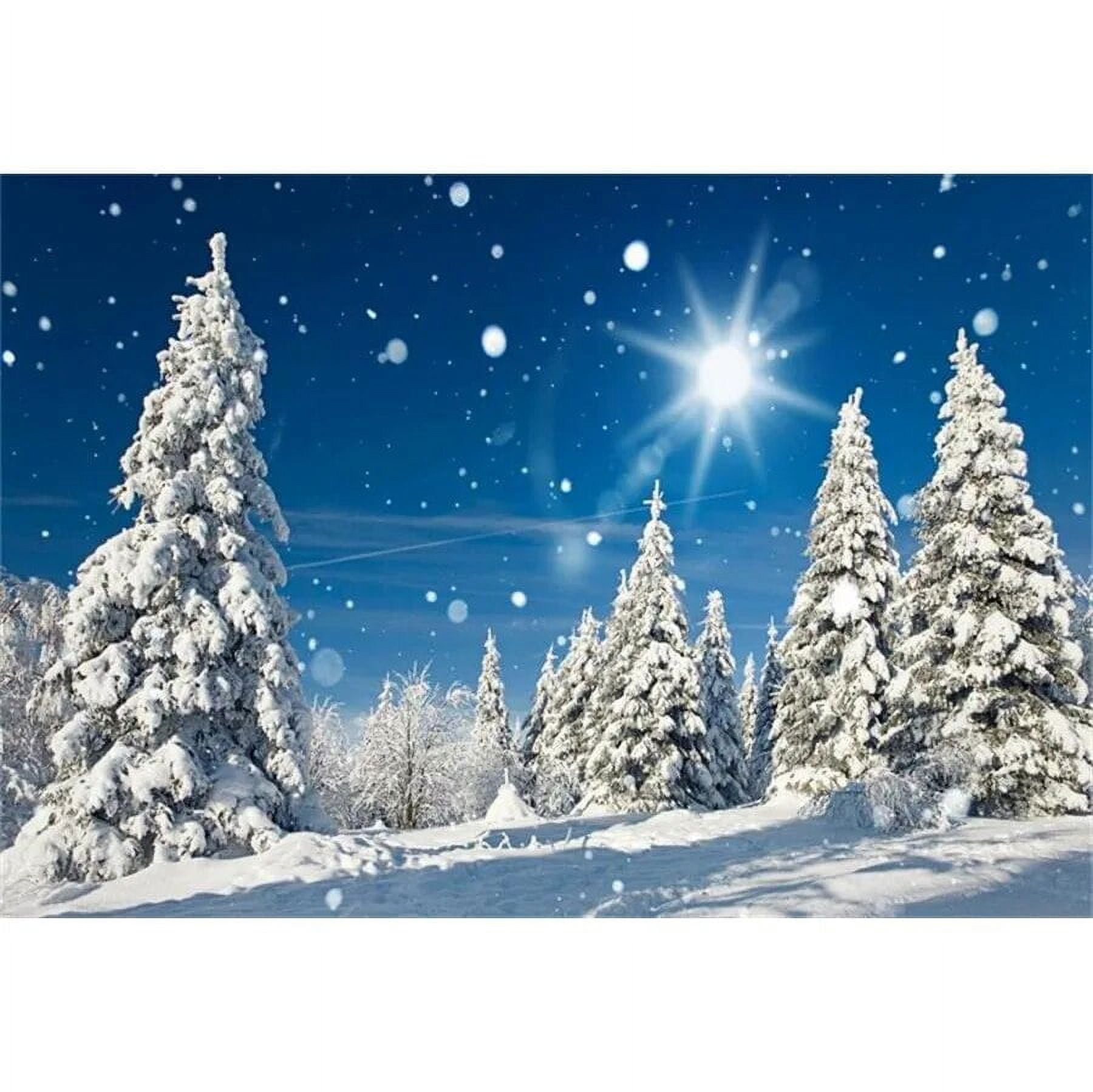 Laeacco Winter Snow Mountain Ski Slate Sunny Day Holiday Party Scenic ...