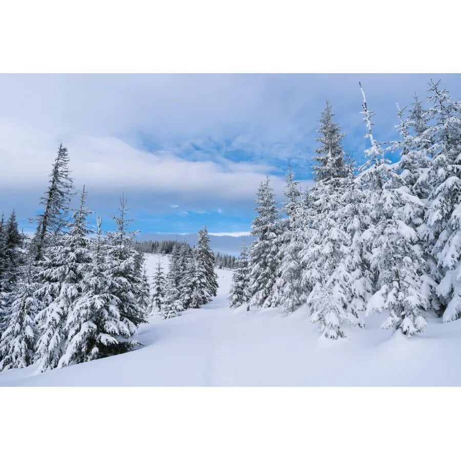 Laeacco Winter Snow Mountain Ski Slate Sunny Day Holiday Party Scenic ...