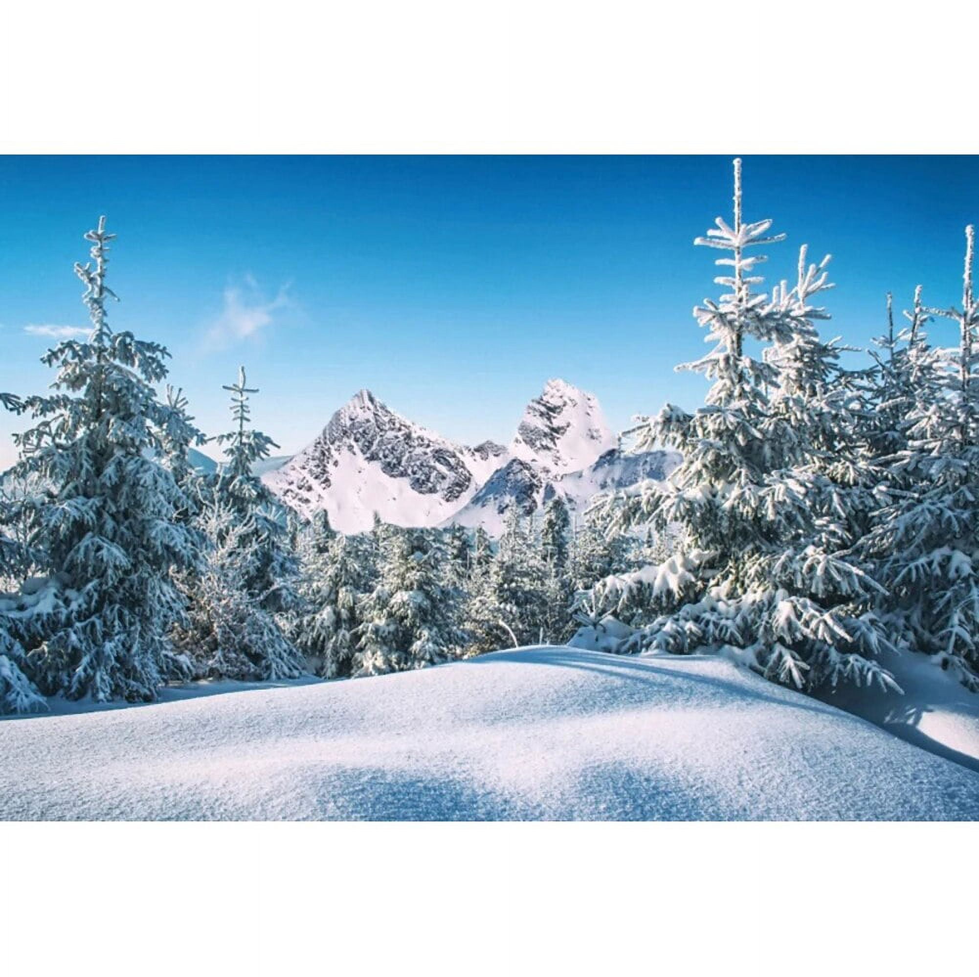 Laeacco Winter Snow Mountain Ski Slate Sunny Day Holiday Party Scenic ...