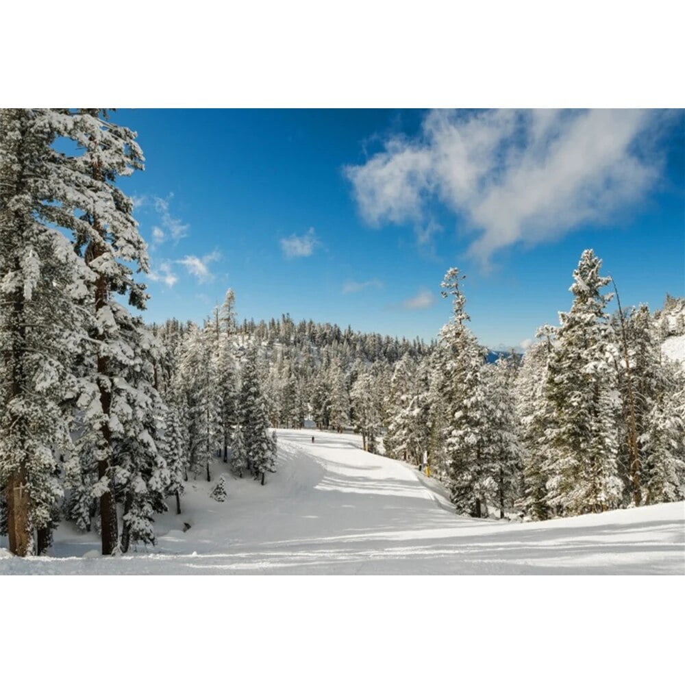 Laeacco Winter Snow Mountain Ski Slate Sunny Day Holiday Party Scenic ...