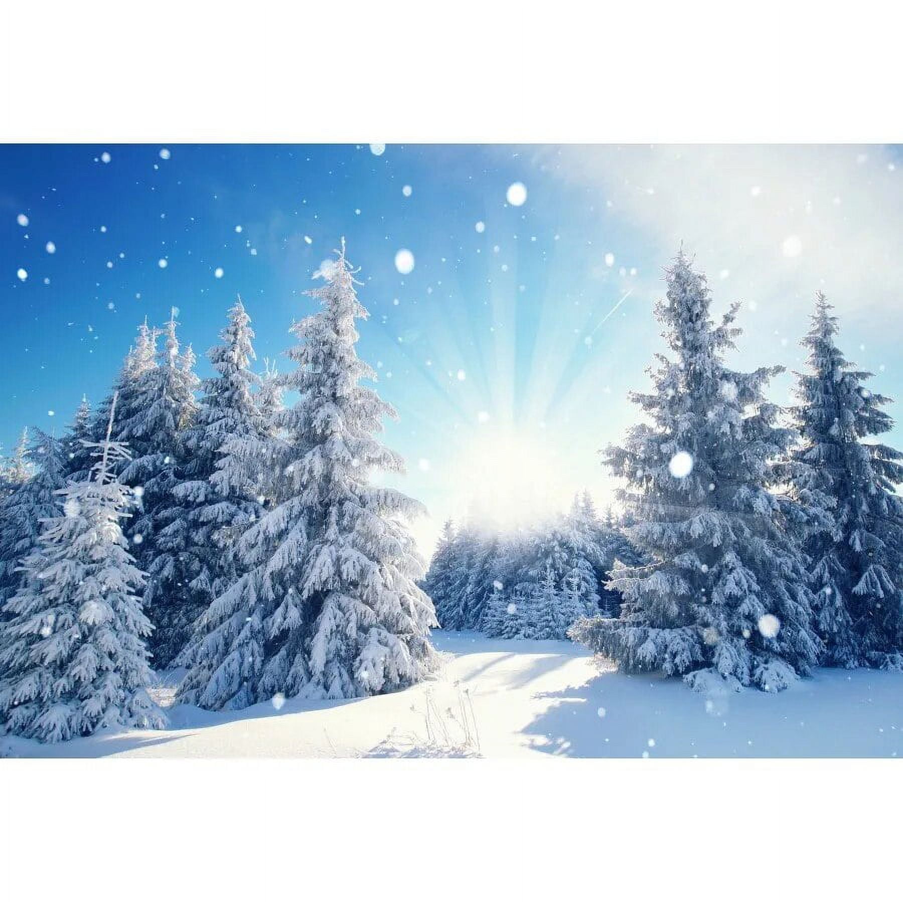 Laeacco Winter Snow Mountain Ski Slate Sunny Day Holiday Party Scenic ...