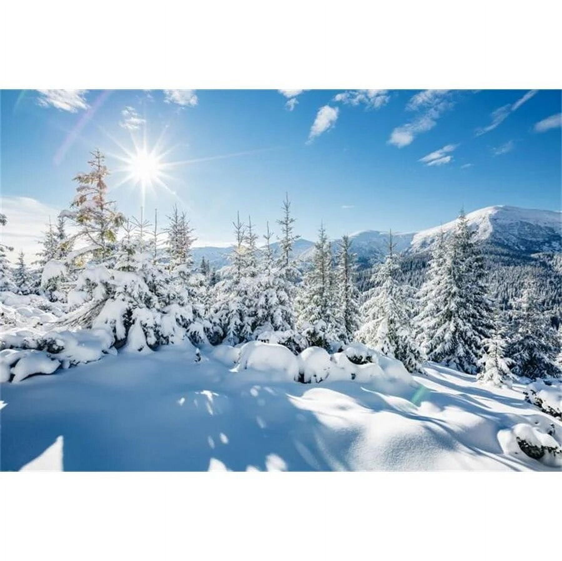 Laeacco Winter Snow Mountain Ski Slate Sunny Day Holiday Party Scenic ...