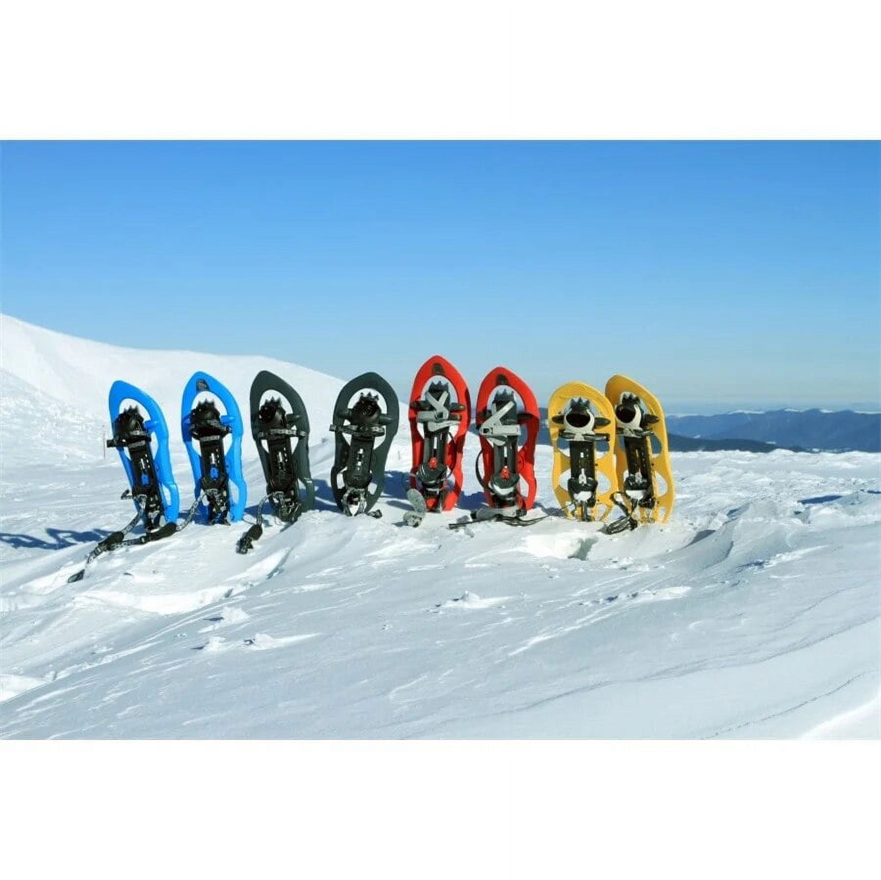 Laeacco Winter Snow Mountain Ski Slate Sunny Day Holiday Party Scenic ...