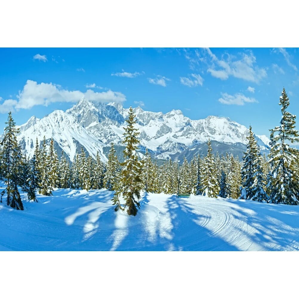 Laeacco Winter Snow Mountain Ski Slate Sunny Day Holiday Party Scenic ...