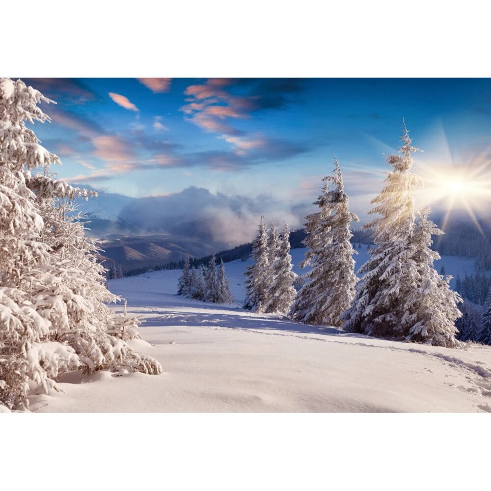 Laeacco Winter Snow Mountain Ski Slate Sunny Day Holiday Party Scenic ...