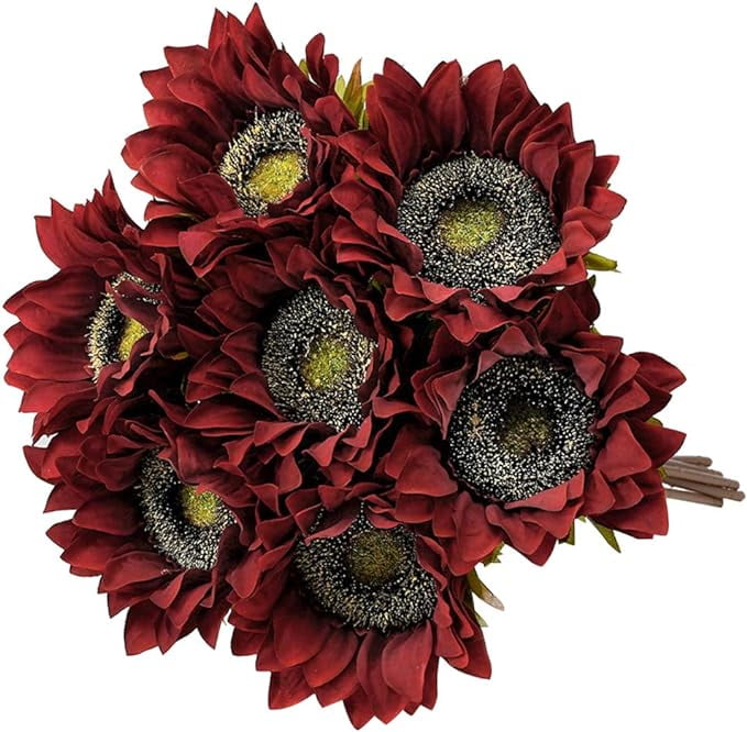 Maroon Sunflower