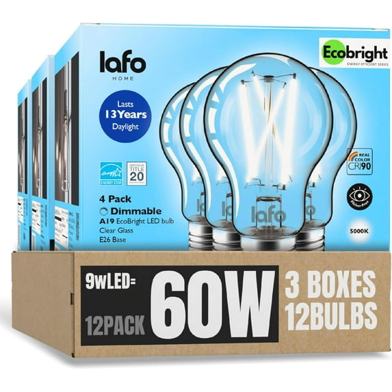 LafoHome EcoBright A19 LED Filament Bulb, 60W Equivalent, 5000K ...