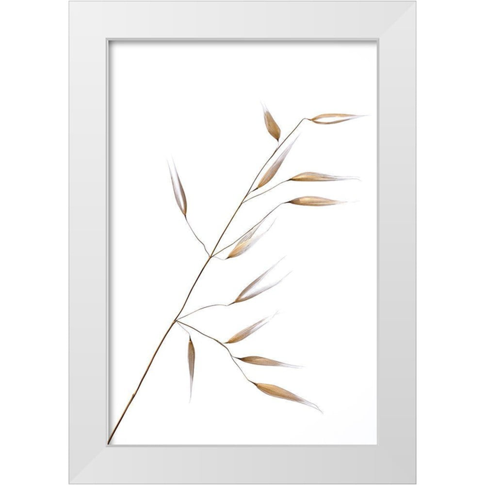 Lagandre, Thierry 17x24 White Modern Wood Framed Museum Art Print ...