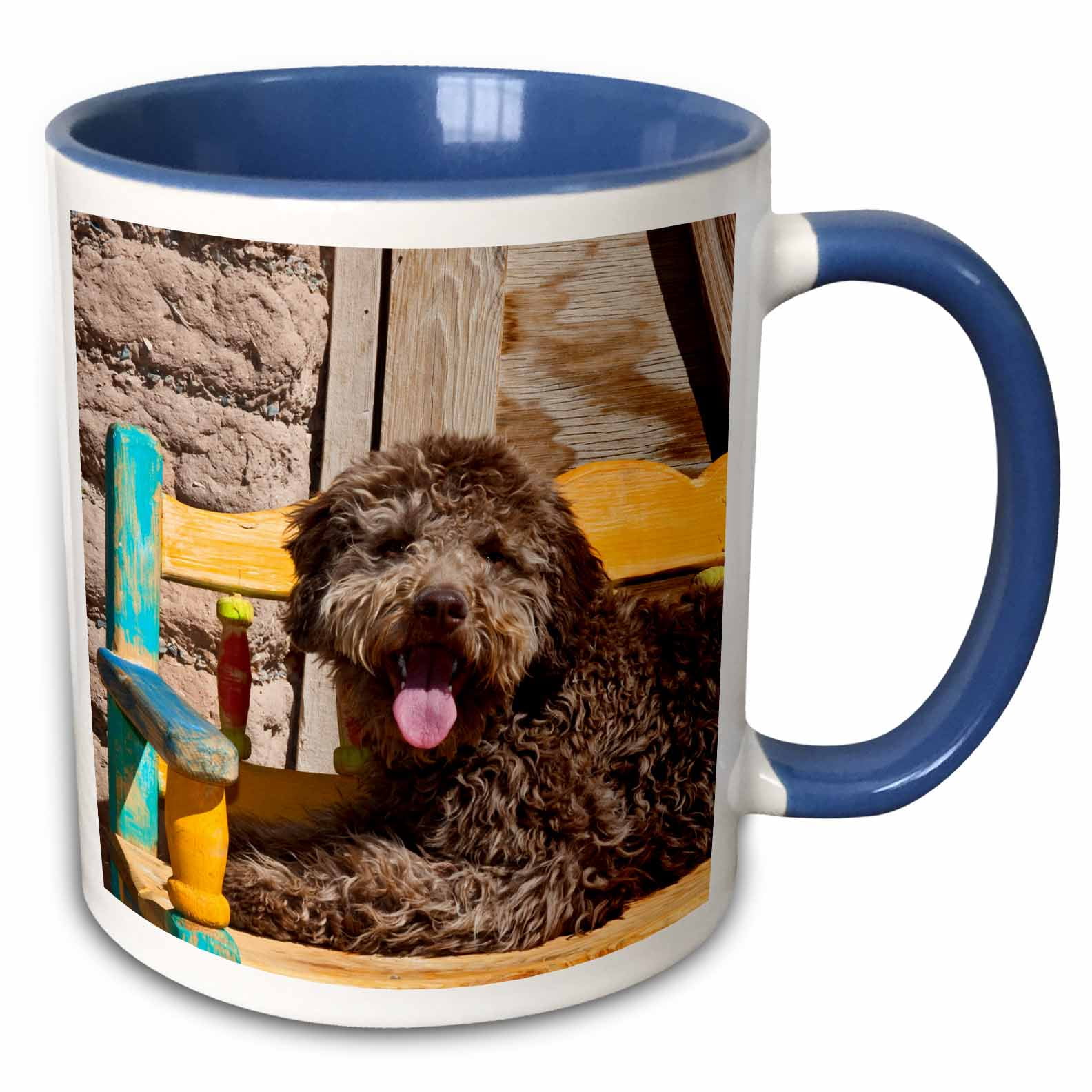 Lagotto Romagnolo lying on a wooden bench. 15oz Two-Tone Blue Mug mug ...