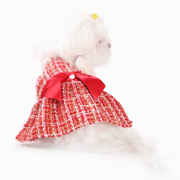 Dog Fancy Dress