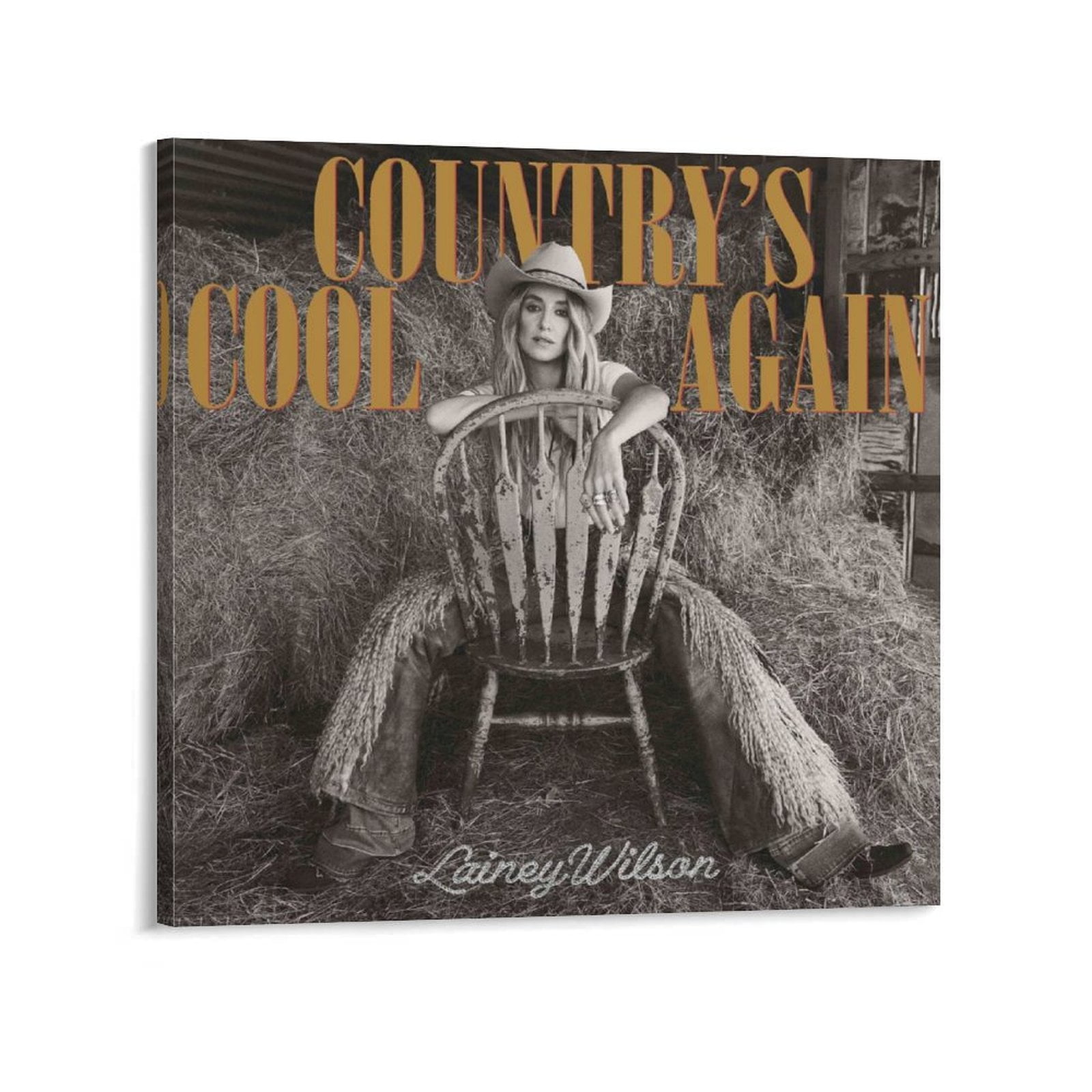 Lainey Wilson Poster Artworks Picture Print Poster Wall Art Painting ...