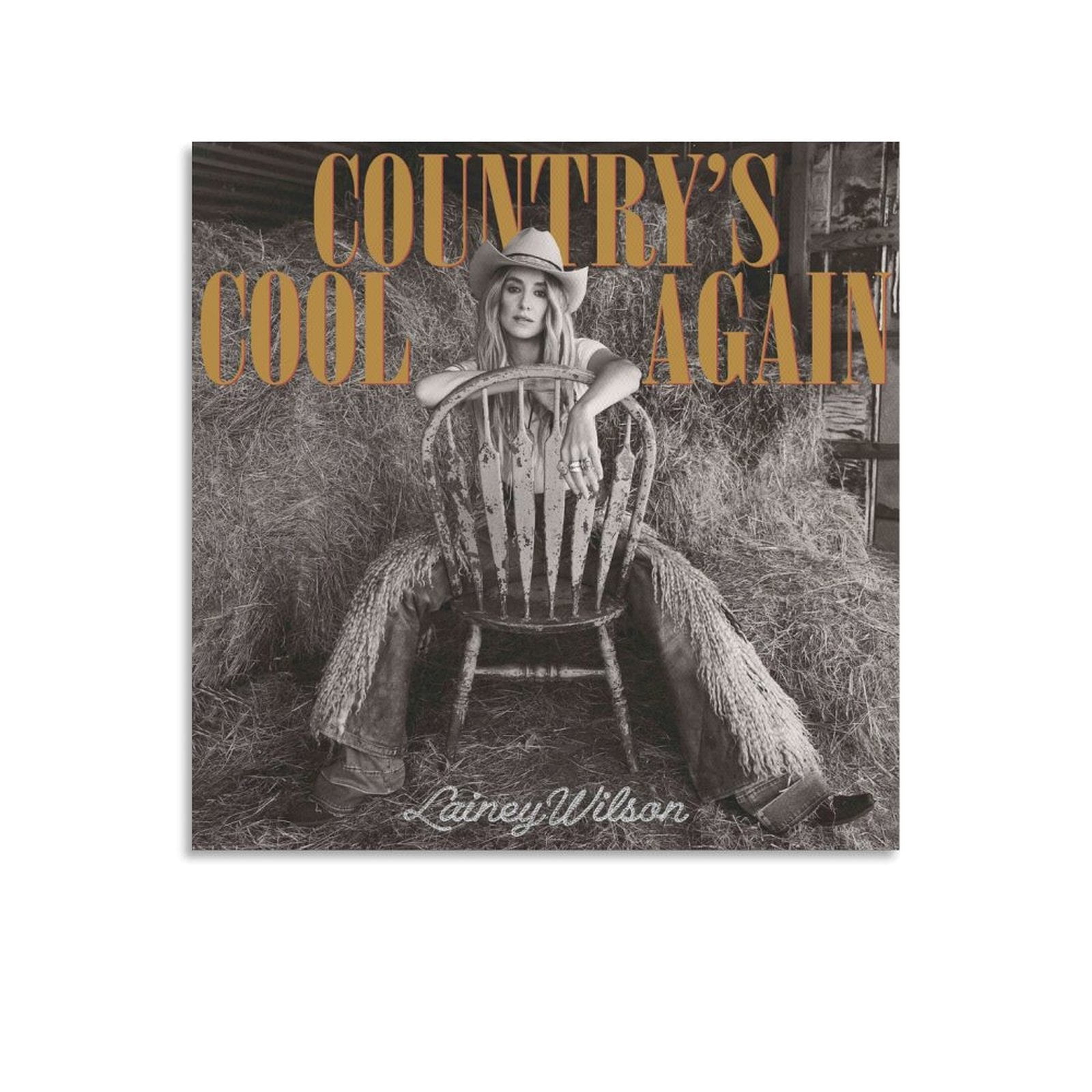 Lainey Wilson Poster Canvas Poster Wall Art Picture Prints Hanging ...