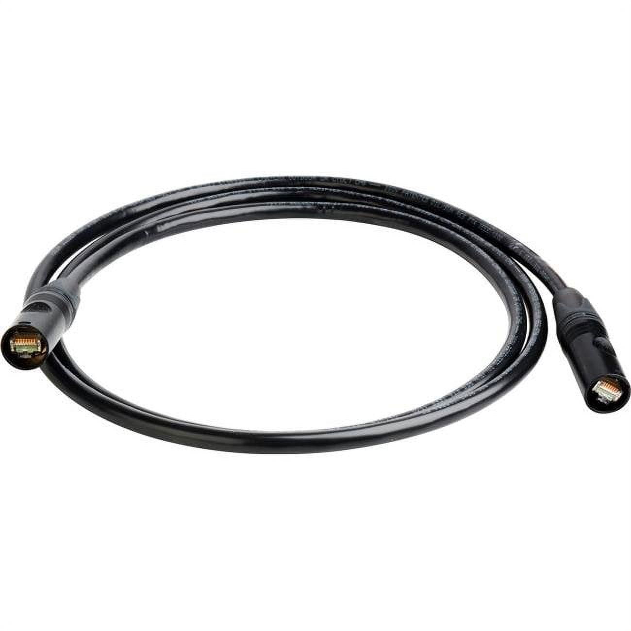 Laird Digital Cinema CAT6XTRM-75 Extreme CAT-6 Cable with Belden ...