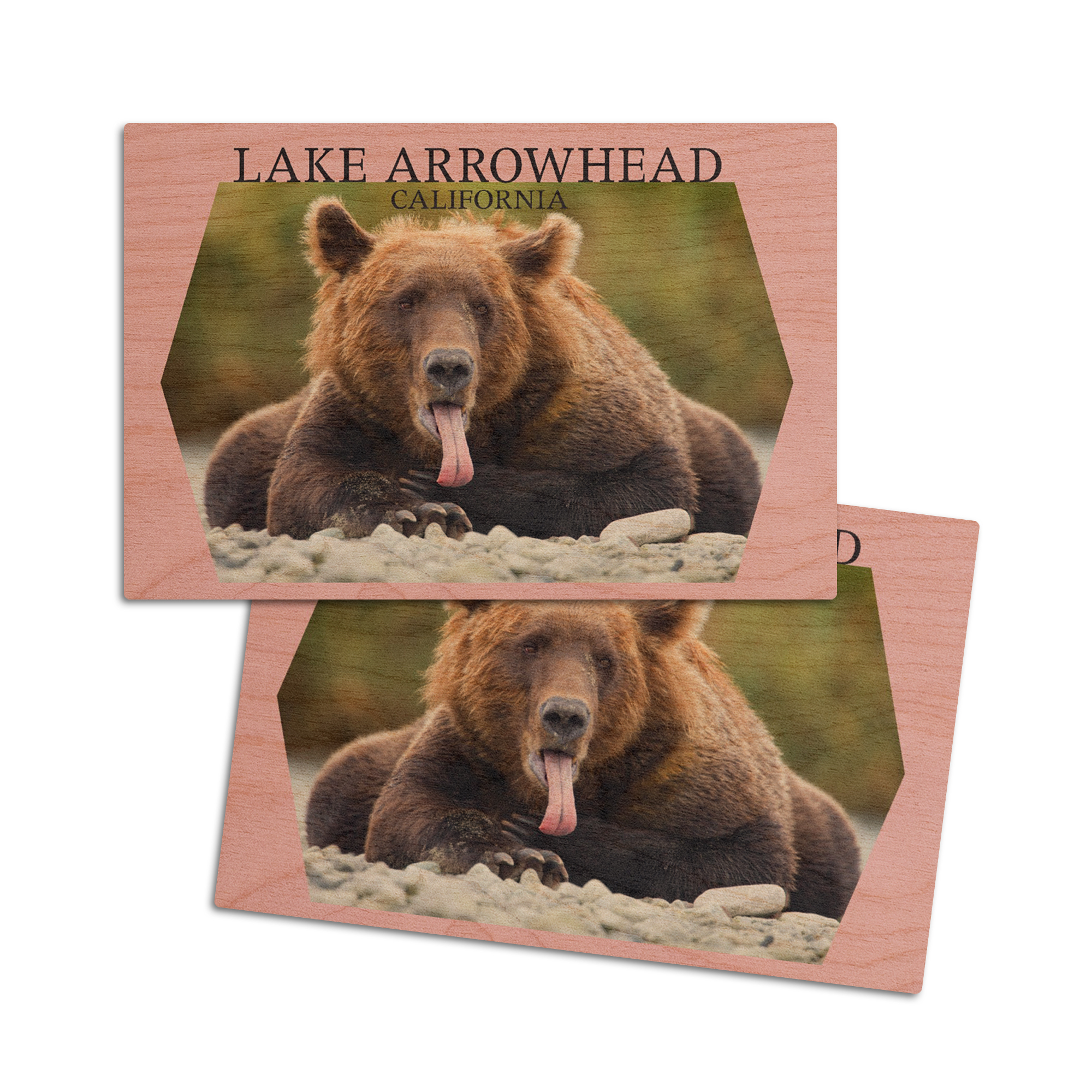Lake Arrowhead, California, Grizzly Bear with Tongue, Contour (4x6 ...