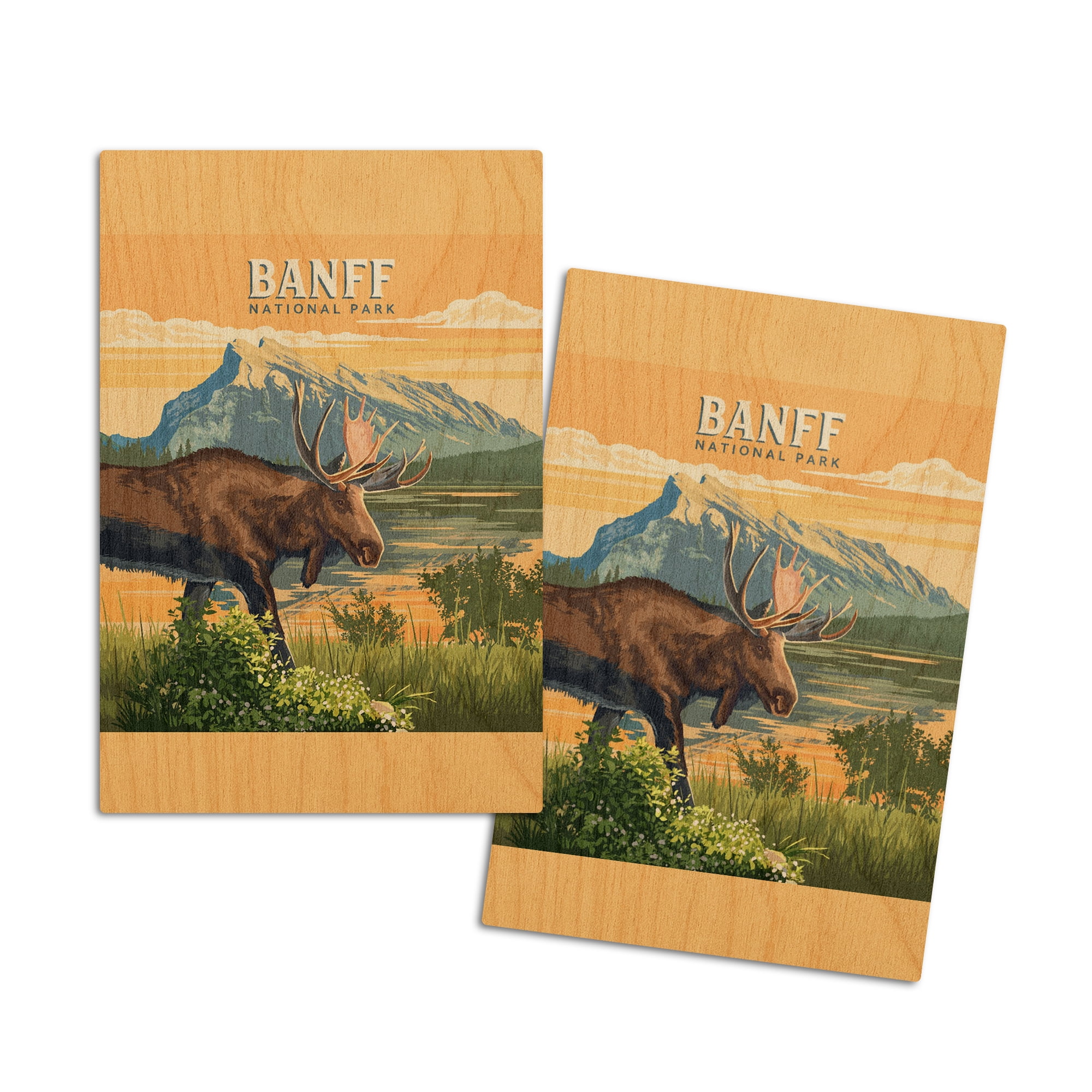 Lake Minnewanka, Canada, Banff National Park, Moose, Painterly (4x6 ...