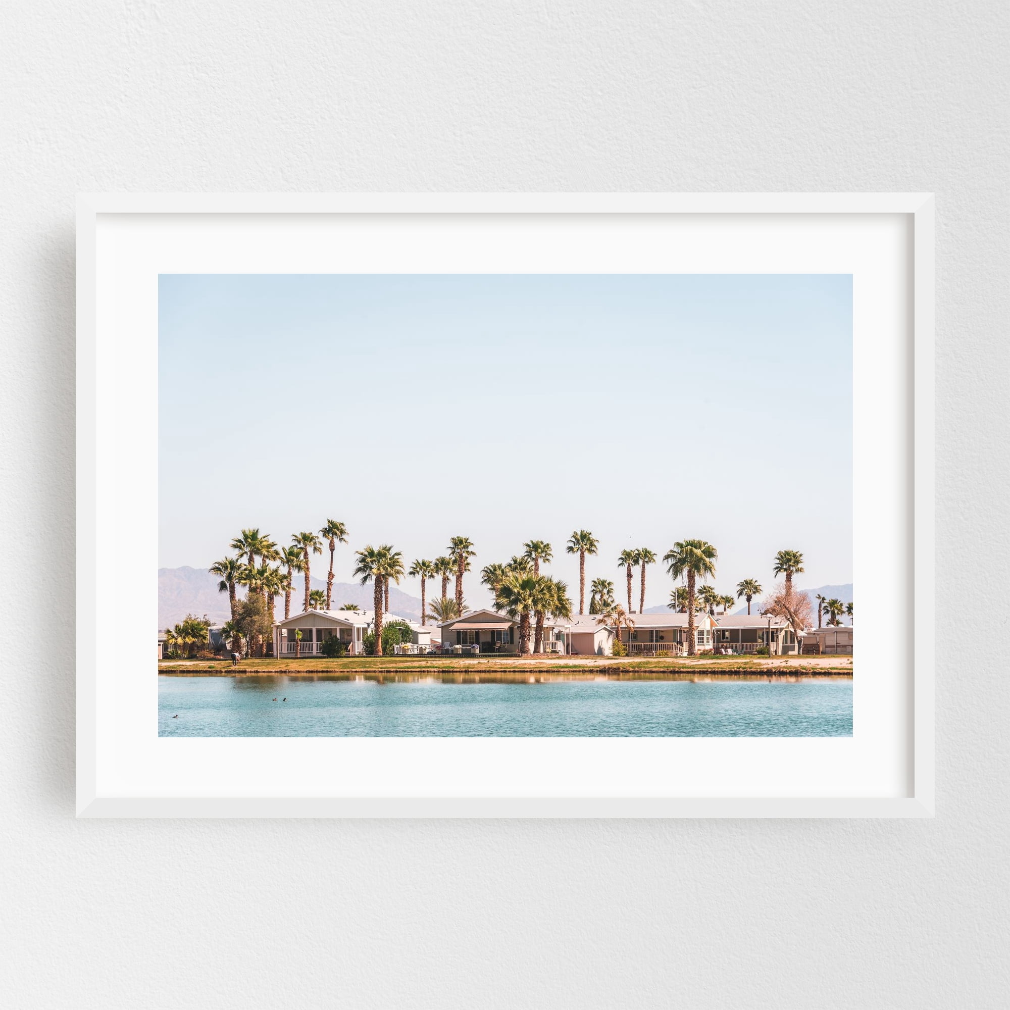 Lake Tamarisk 02 - California Photography Palm Tree Beach House Lake ...