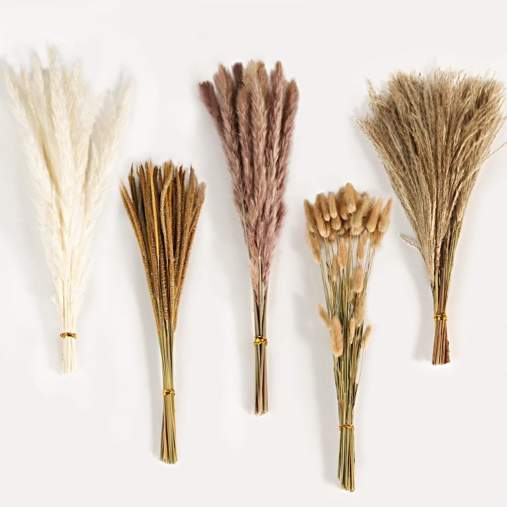 Laklulu 2pcs small reed natural dried flowers bouquet-100PCS(small reed ...