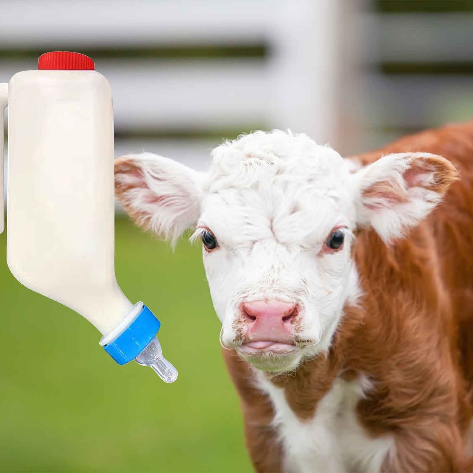 Lamb Calf Feeding Bottle with Thickened Nipple - Large Capacity Milk ...