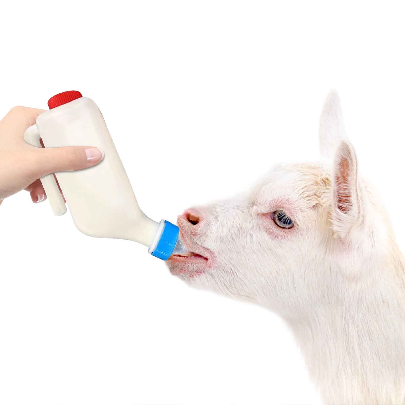 Lamb Calf Feeding Bottle with Thickened Nipple - Large Capacity Milk ...