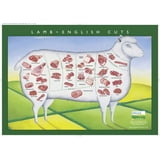 Lamb Cuts Illustration Chart Poster 24Inx36In Poster 24x36 Multi-Color ...