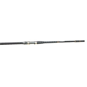 Rods 9 Feet Fishing