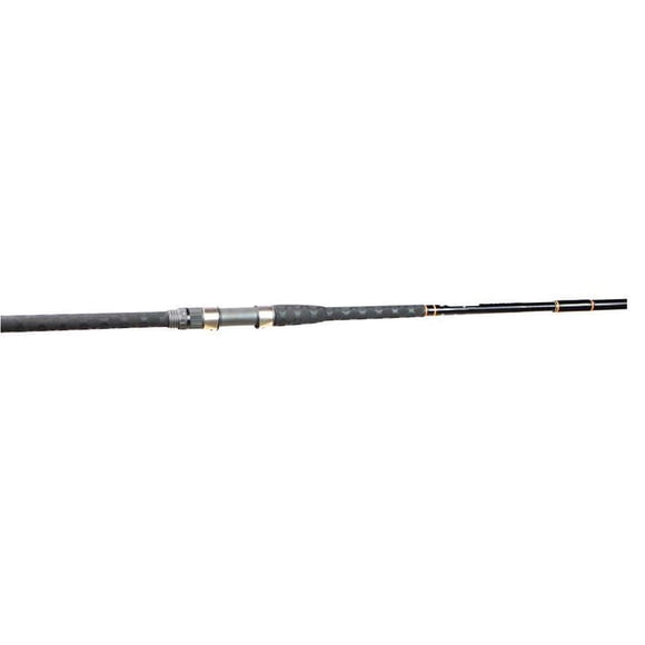 Rods 9 Feet Fishing