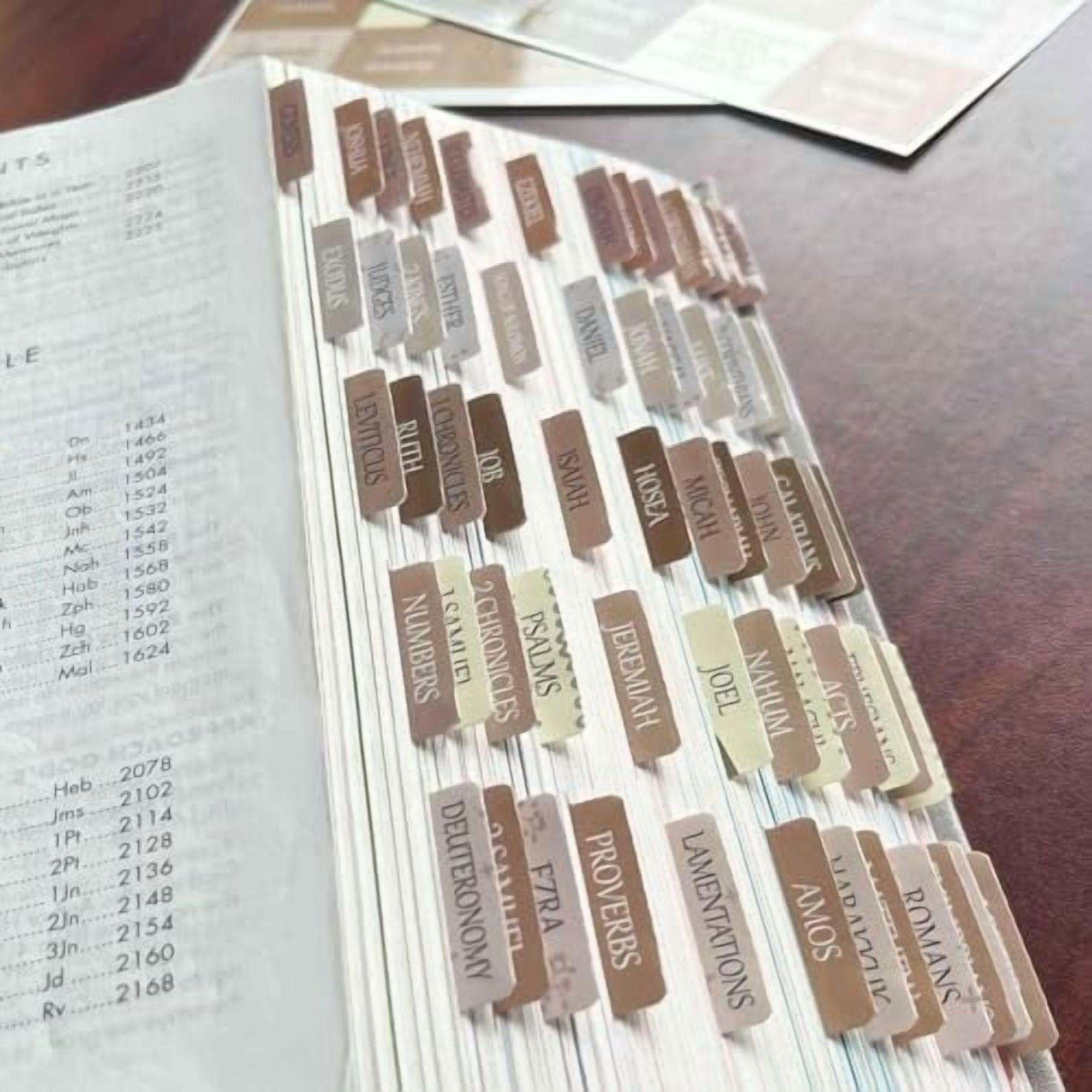 Laminated Bible Tabs, Reposition Large Print Stickers, Easy to Read and ...