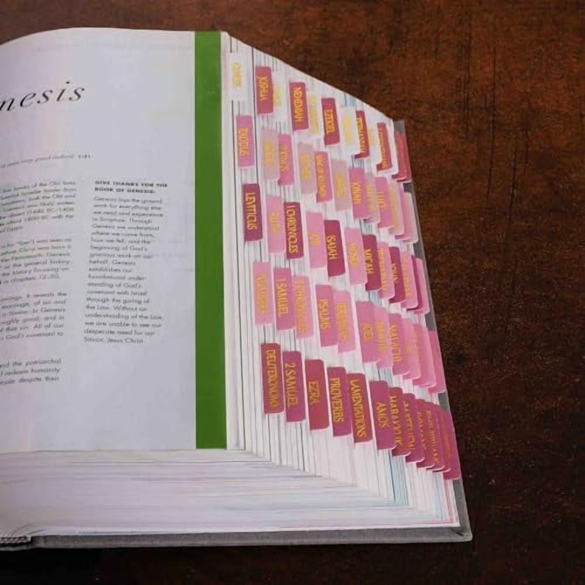 Laminated Bible Tabs, Reposition Large Print Stickers, Easy to Read and ...