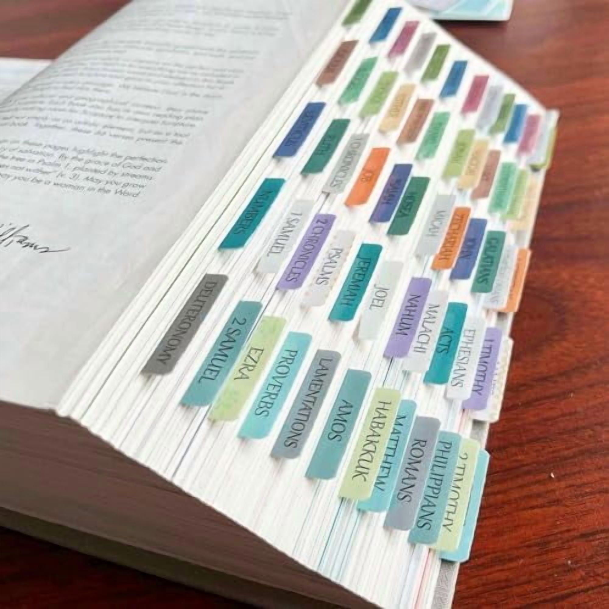 Laminated Bible Tabs, Reposition Large Print Stickers, Easy to Read and ...