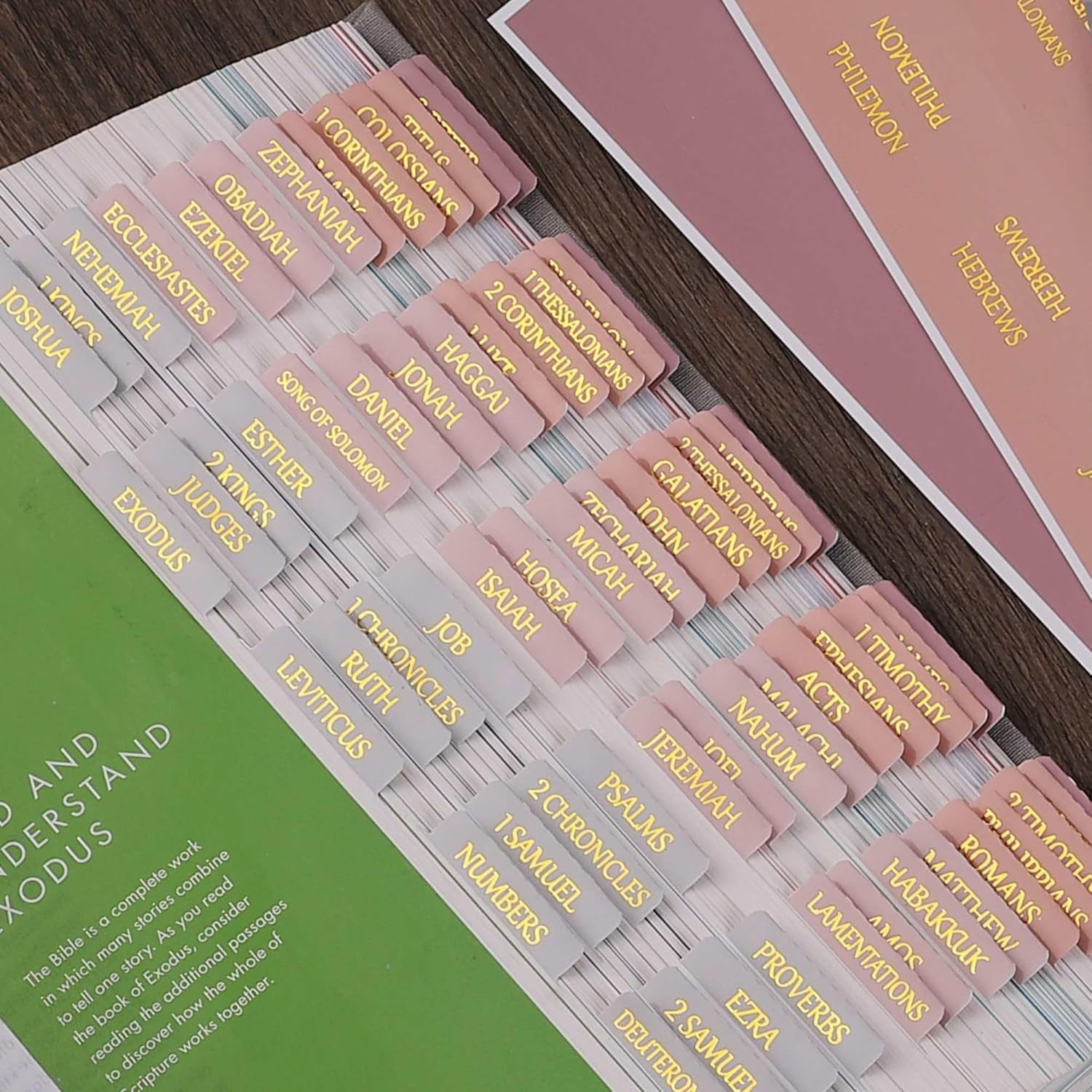 Laminated Bible Tabs, Reposition Large Print Stickers, Easy to Read and ...