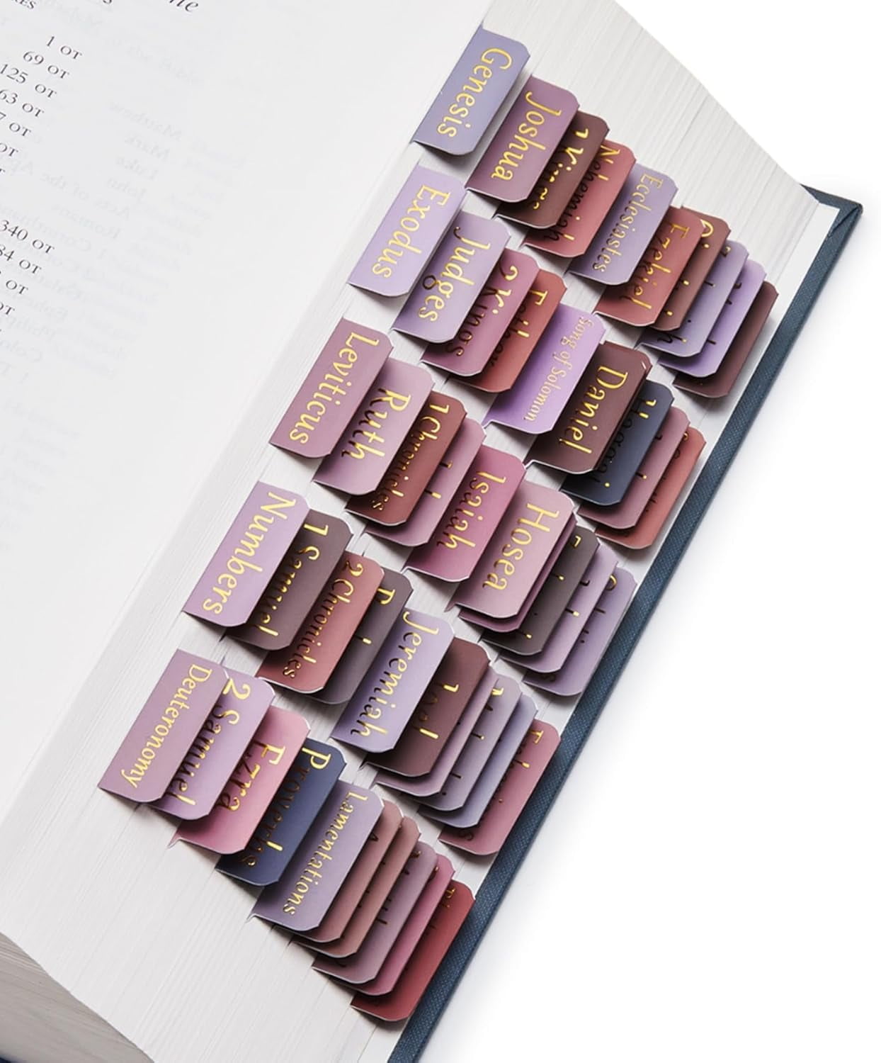 Laminated Bible Tabs for Women & Men - Large Print Tabs for Study ...