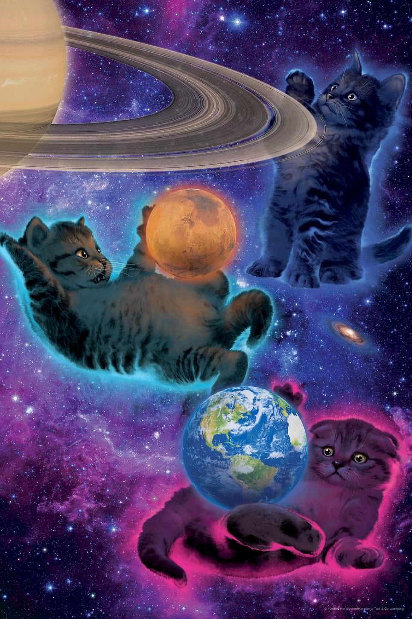 Funny Space Cat Wallpaper