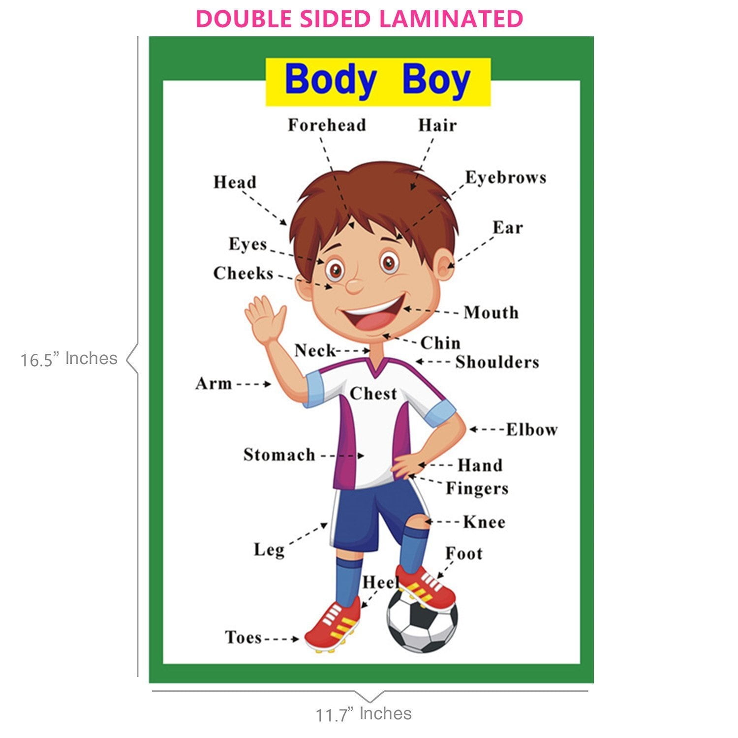 Laminated Educational Preschool Posters for Toddlers| Educational Wall ...