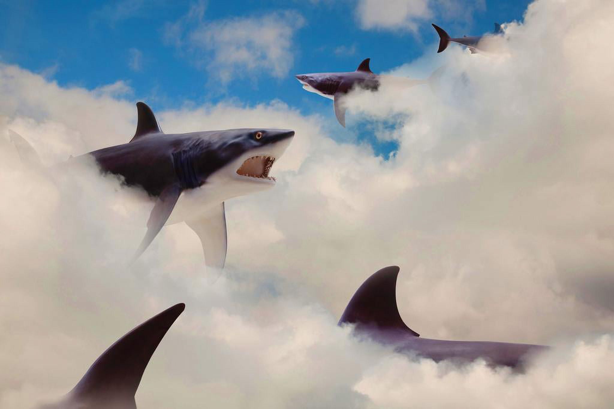 Laminated Sharks Floating in Clouds Fin Fantasy Shark Posters For Walls ...