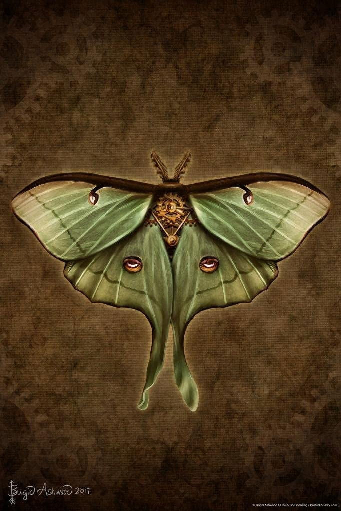 Laminated Steampunk Luna Moth by Brigid Ashwood Butterfly Wall Decor ...