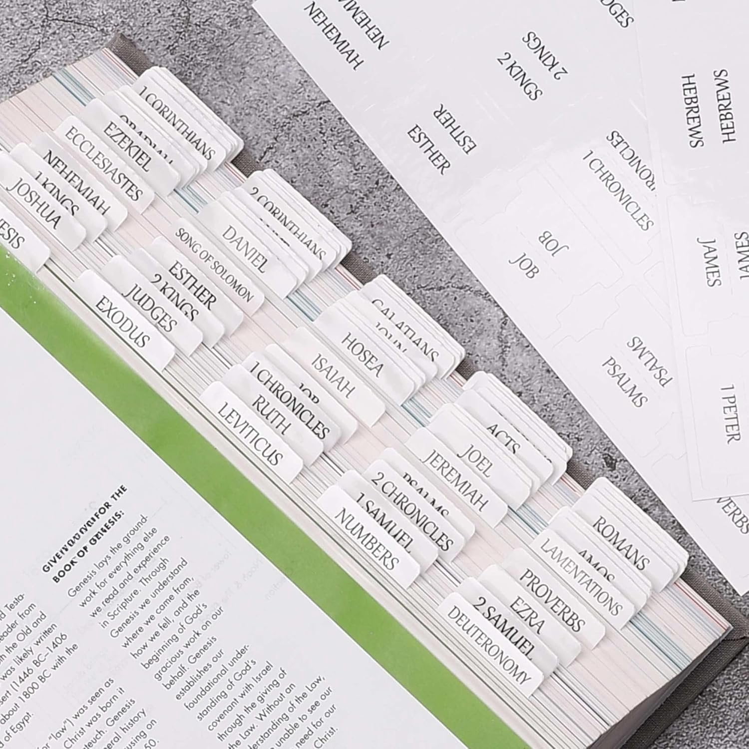 Laminated Tabs, Large Print Stickers, Easy to Read and Apply Tabs for ...