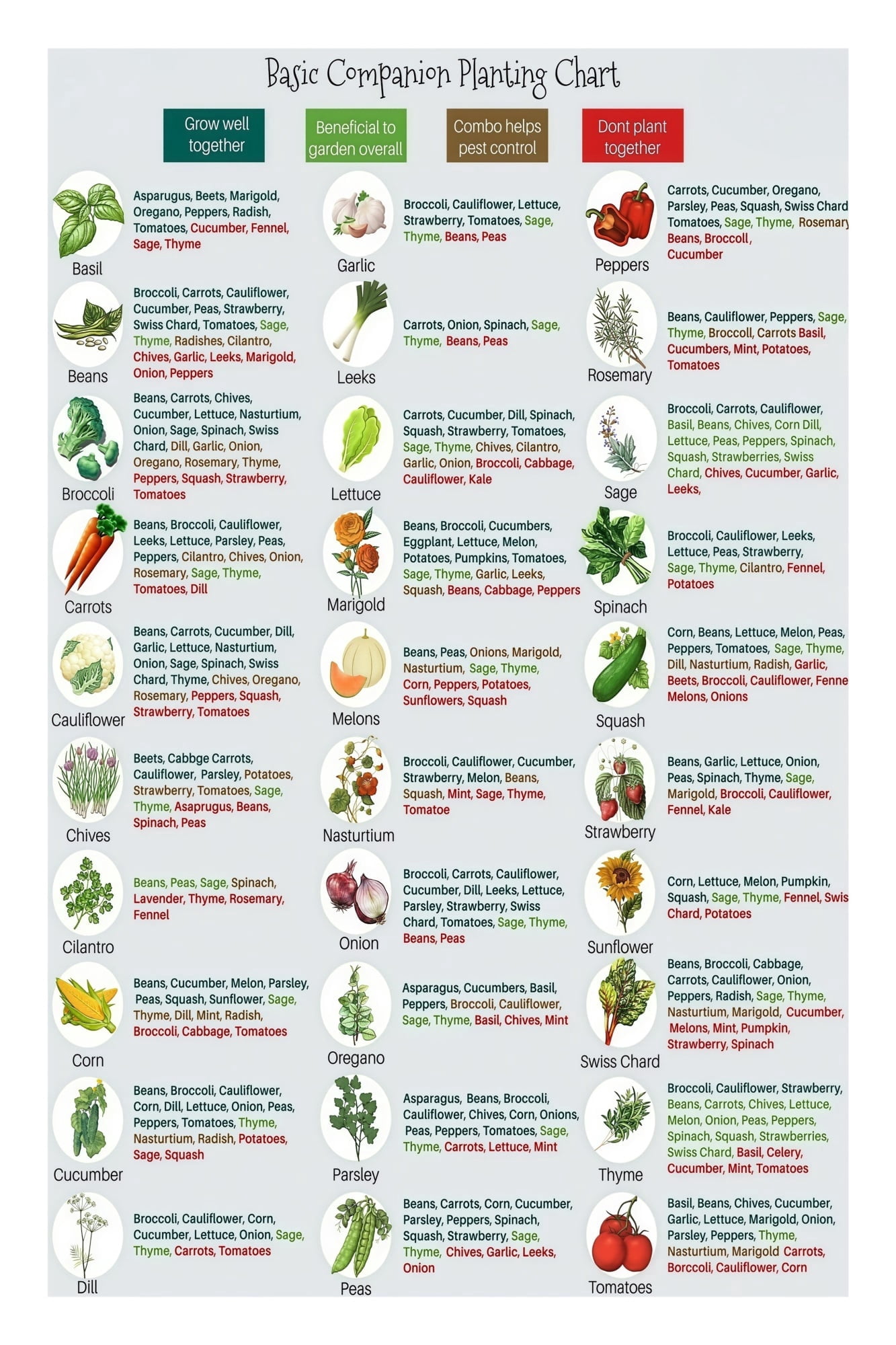 Laminated Vegetable Herb Companion Planting Chart Guide for Organic ...