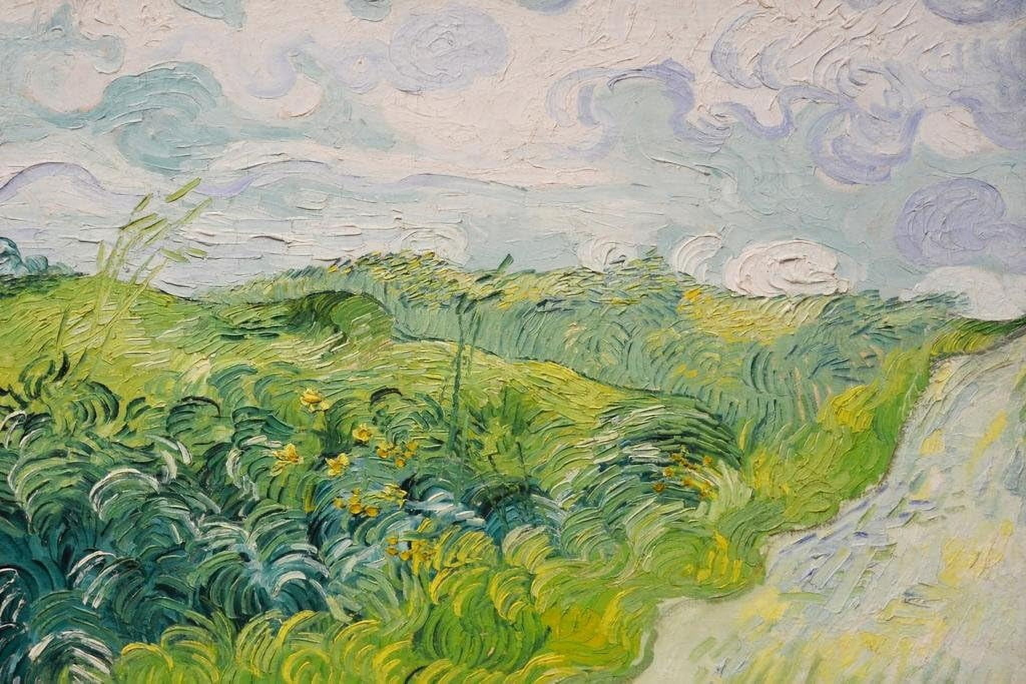 Laminated Vincent Van Gogh Field with Green Wheat Van Gogh Wall Art ...